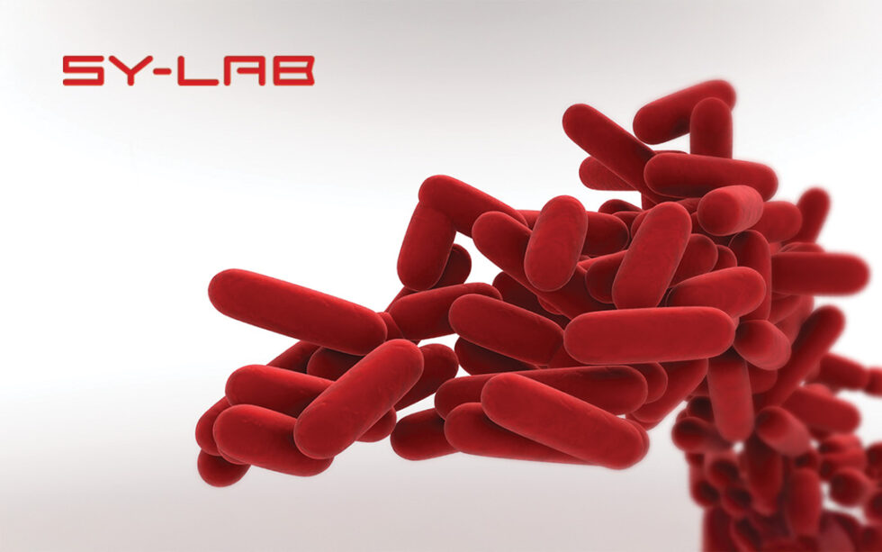 SY-LAB | Capella Science